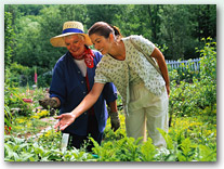 Jolly Gardener Products, Inc.